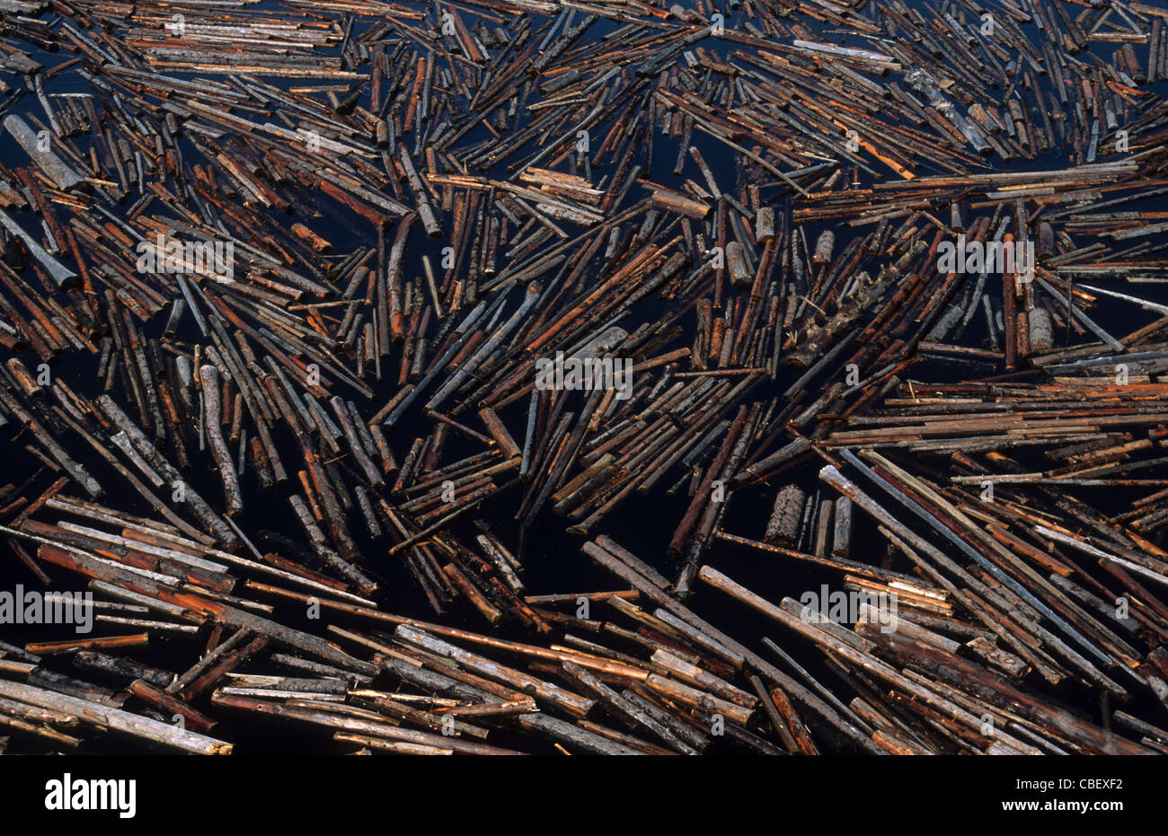 Timber logging canada quebec hi-res stock photography and images - Alamy
