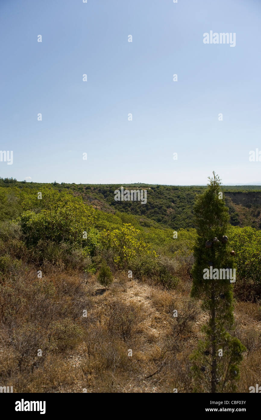 Courtney's and Steel's cemetery from Russells Ridge, Anzac area of ...