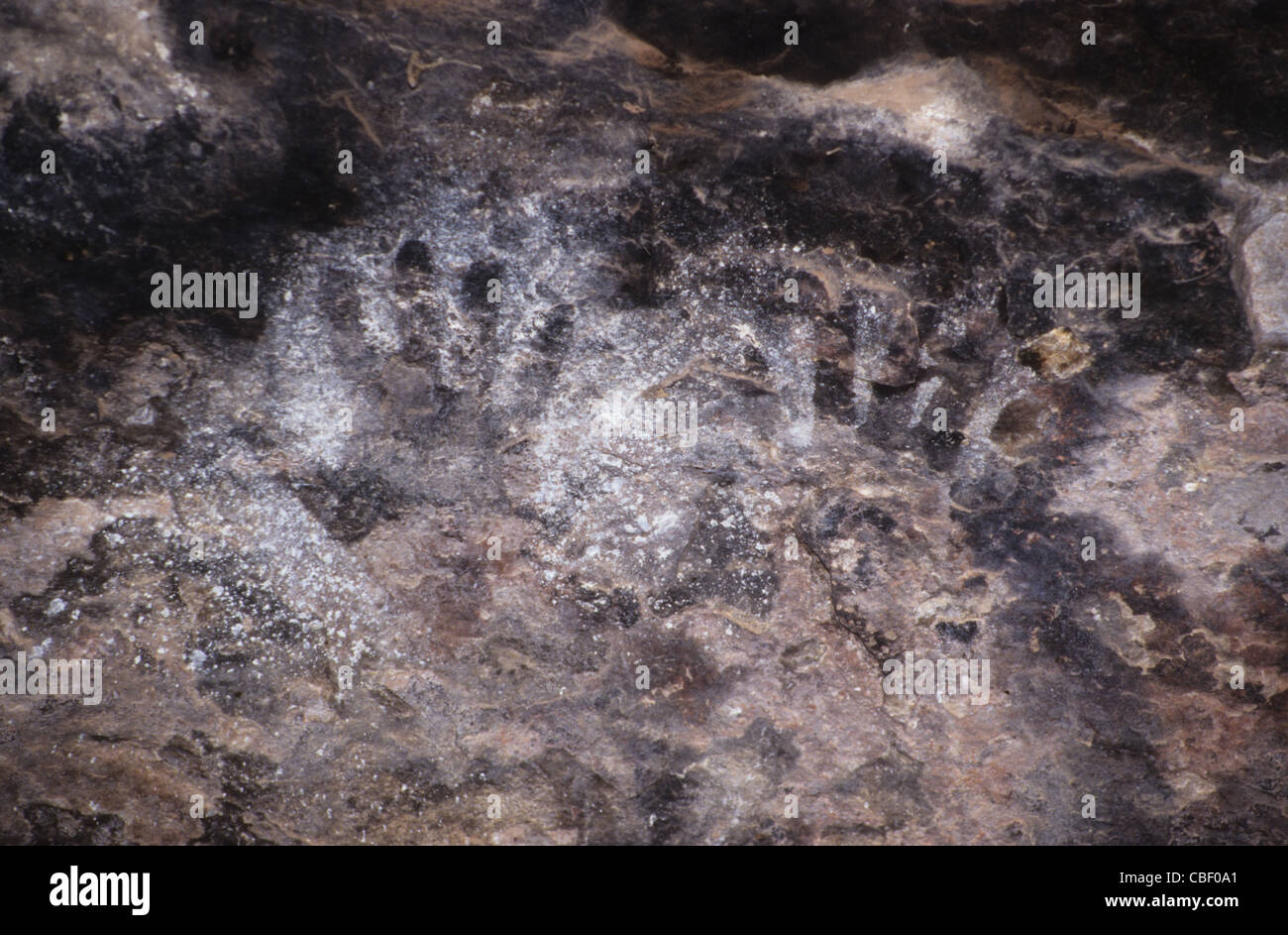 Pictographs of hands. USA Stock Photo - Alamy