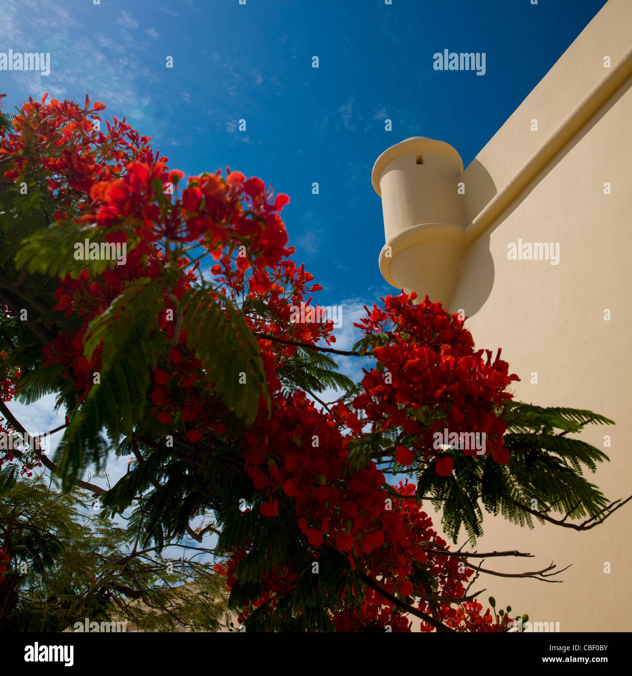 Luanda fort hi-res stock photography and images - Alamy