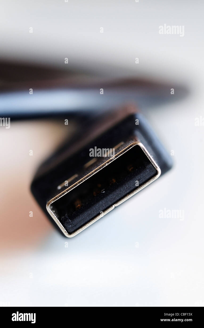 Closeup of a USB lead connector on a white background Stock Photo - Alamy
