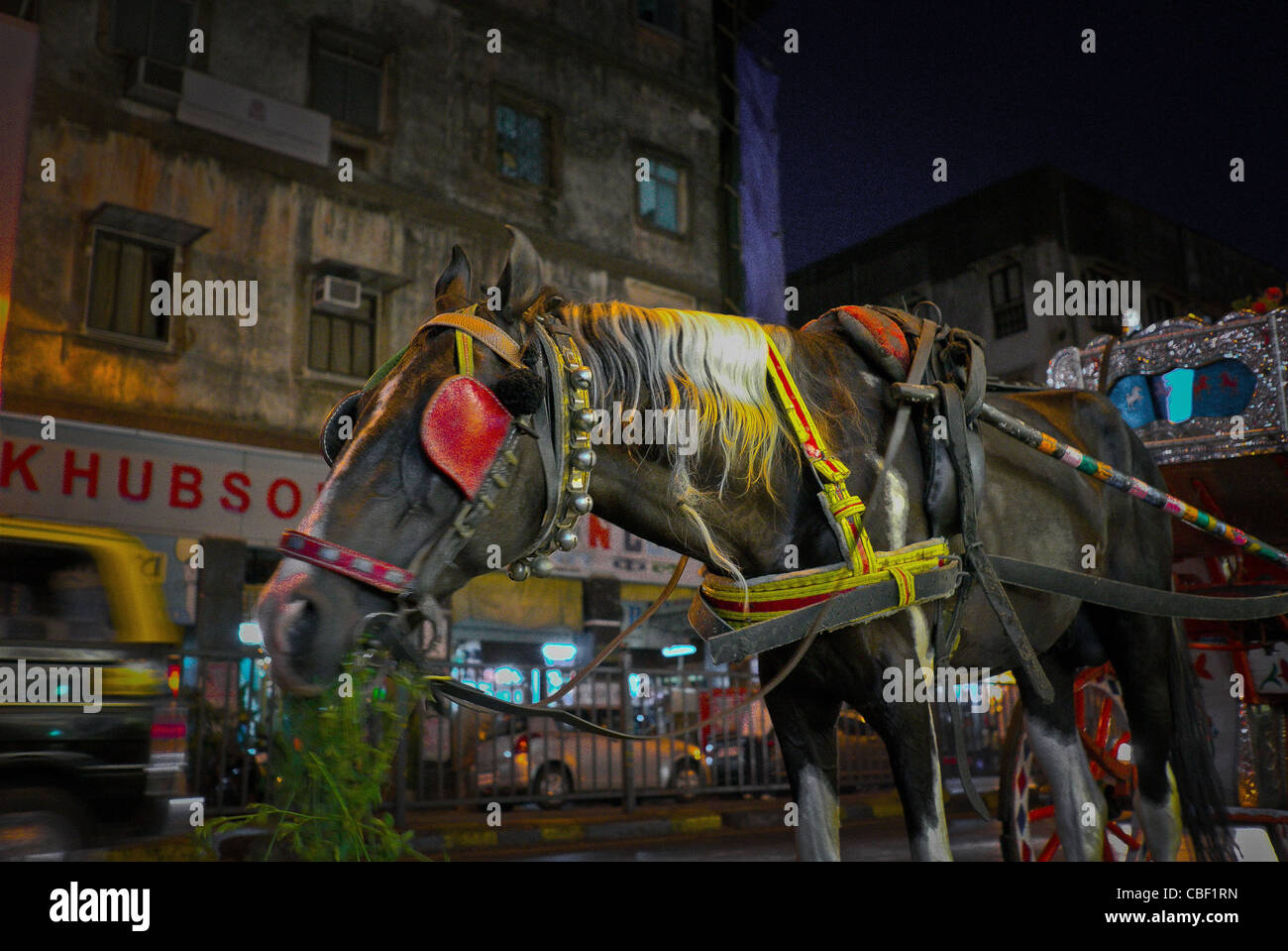 BOMBAY Mumbai Indian Glance, Jolly Jumper Colaba Stock Photo - Alamy