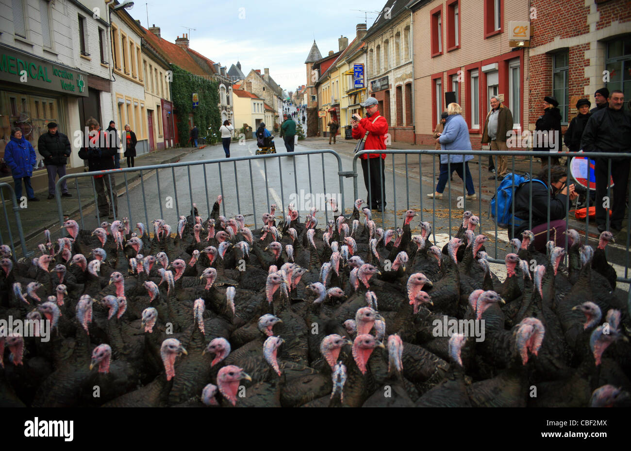 Fête de la dinde de licques , france hi-res stock photography and ...