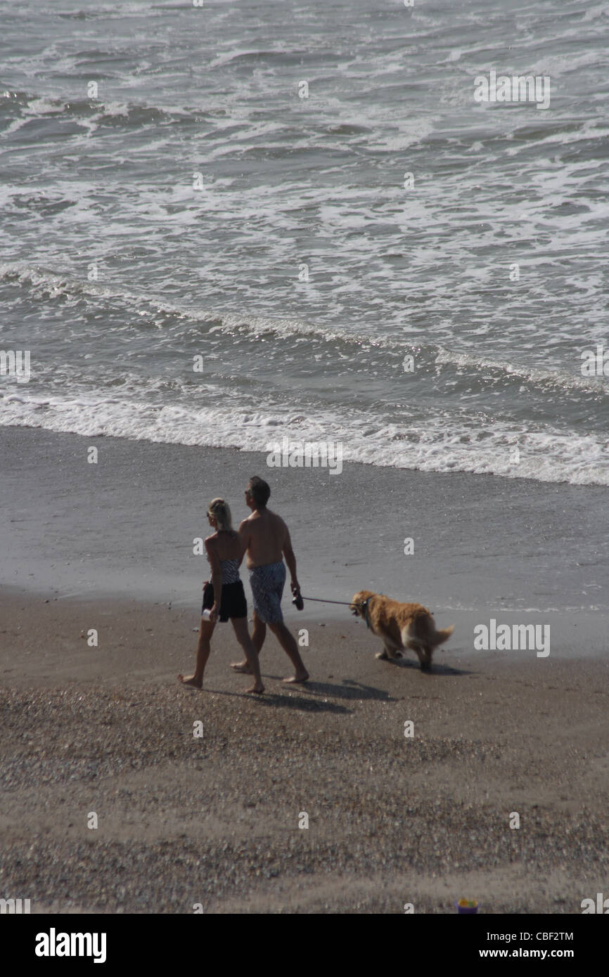 A couple and their dog walk on the beach Stock Photo - Alamy