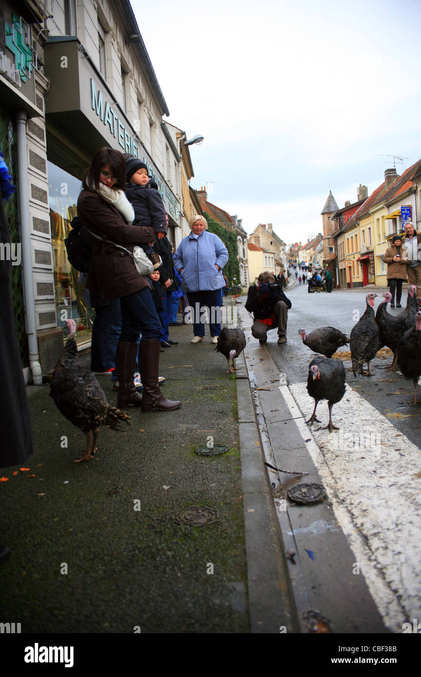 Licques Fete de la Dinde, Turkey festival at Licques near Calais, Pas ...