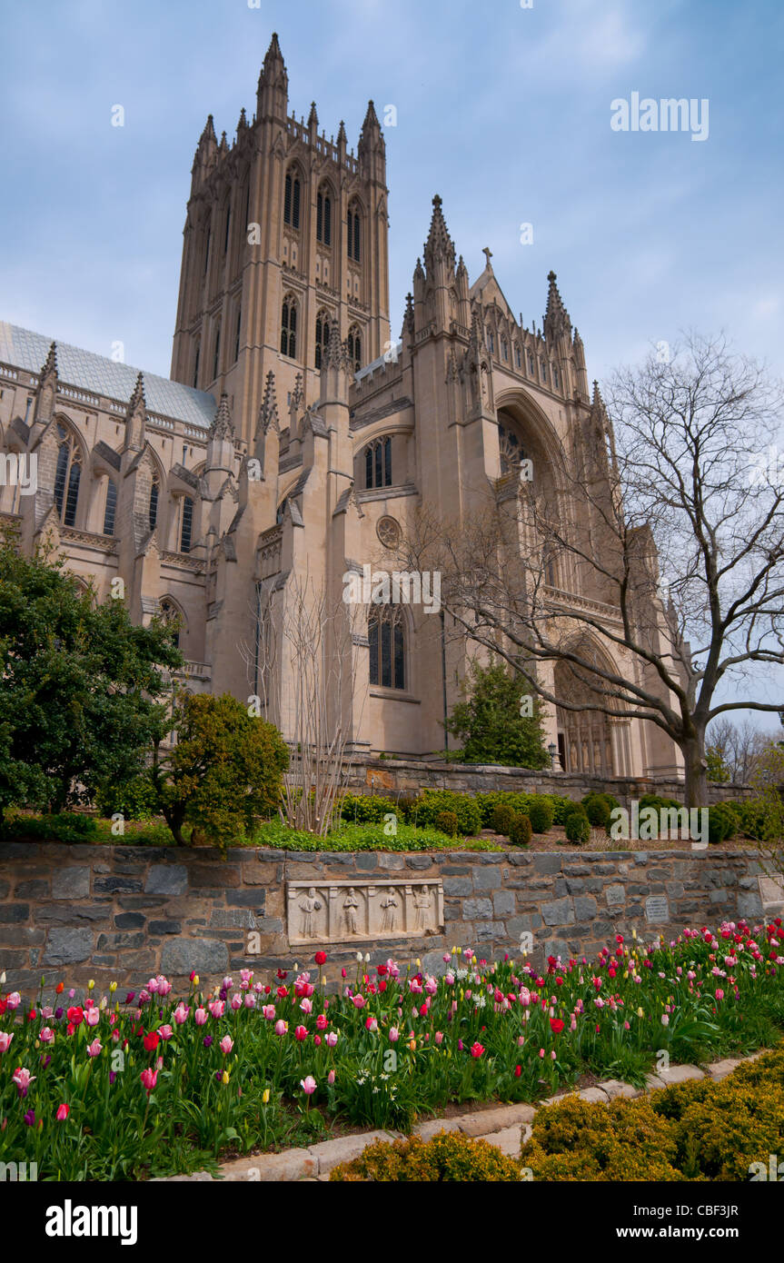 Facade of the National Cathedral in Washington DC Stock Photo - Alamy