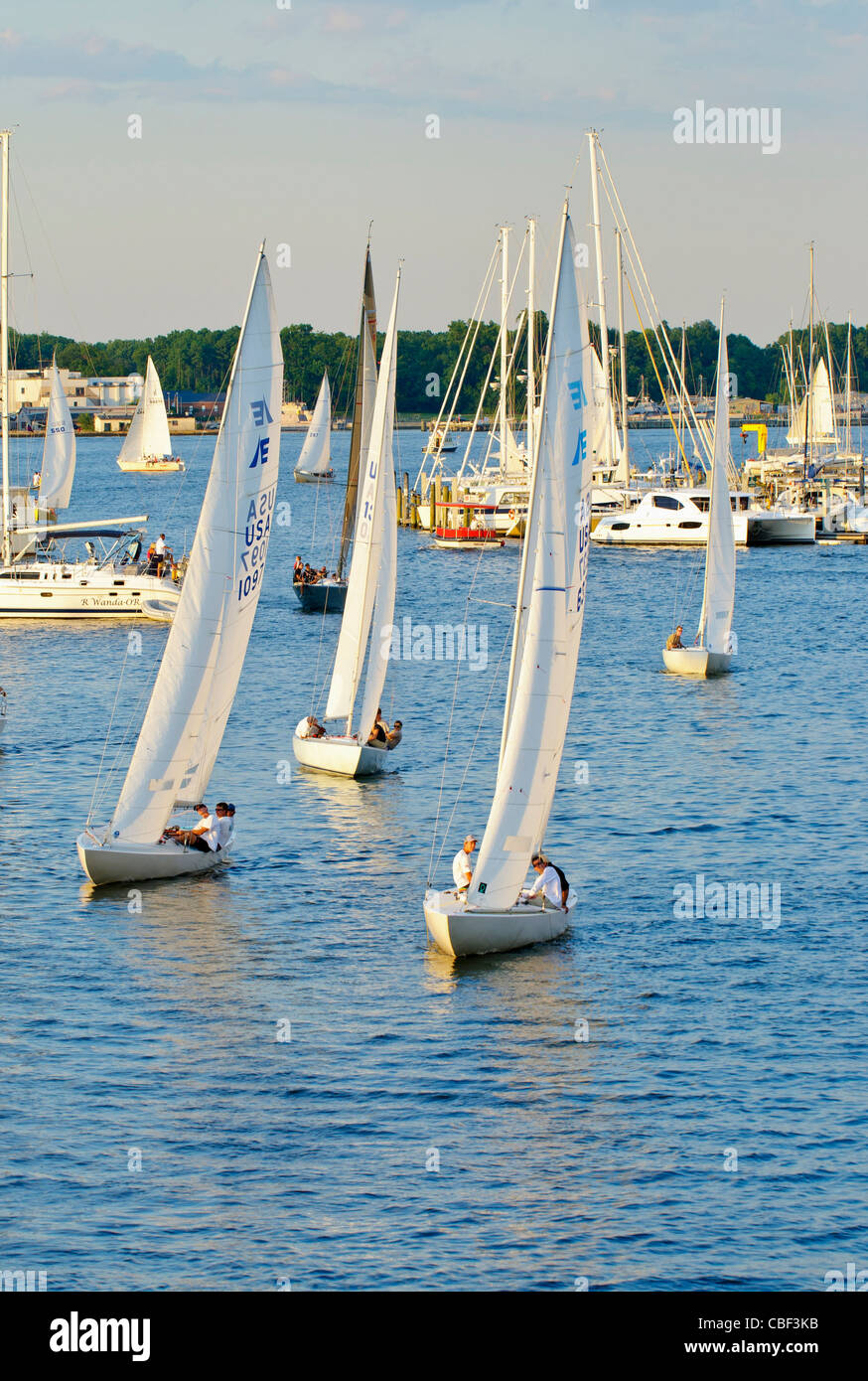 Wednesday night sail boat races, Annapolis, Maryland USA Stock Photo ...