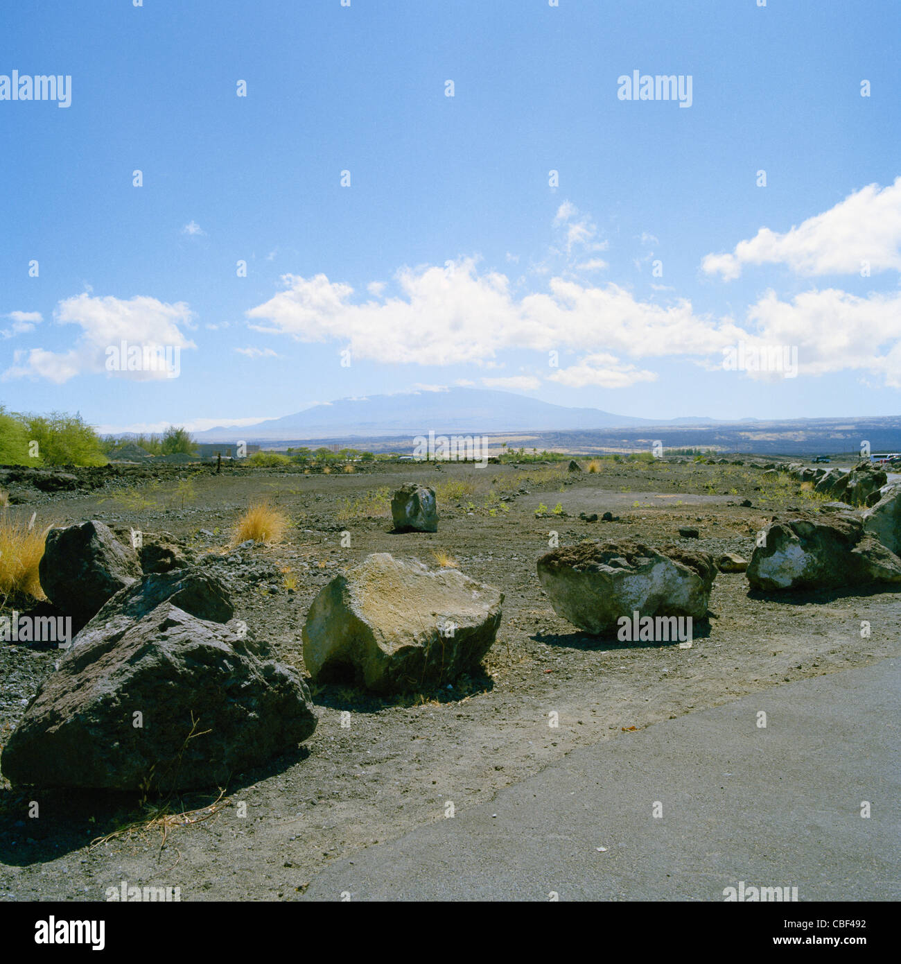 Mauna Kea and basaltic rocks Kohala Big Island Hawaii Stock Photo - Alamy