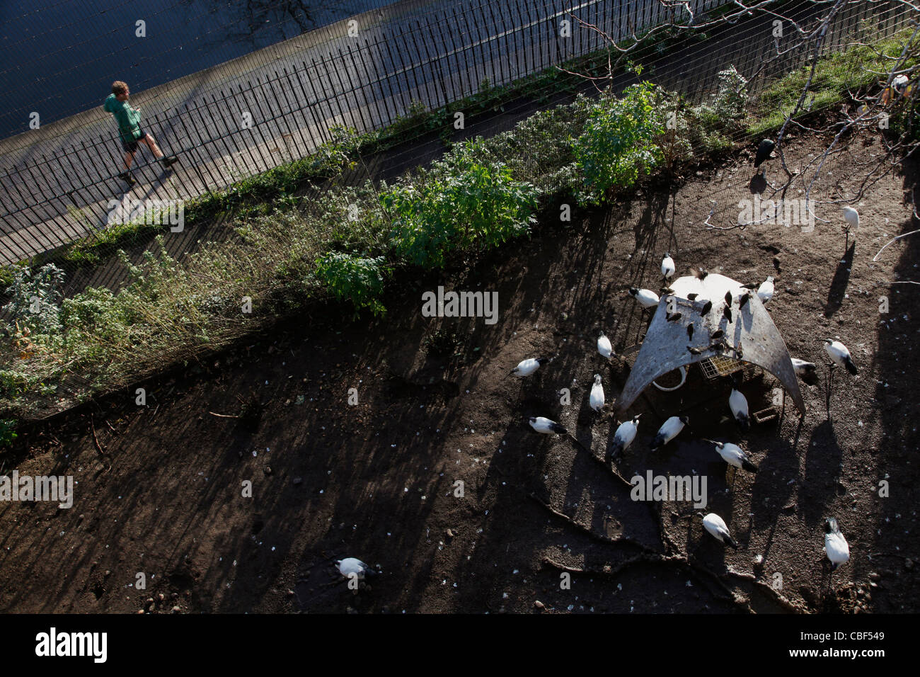 The aviary london hi-res stock photography and images - Alamy