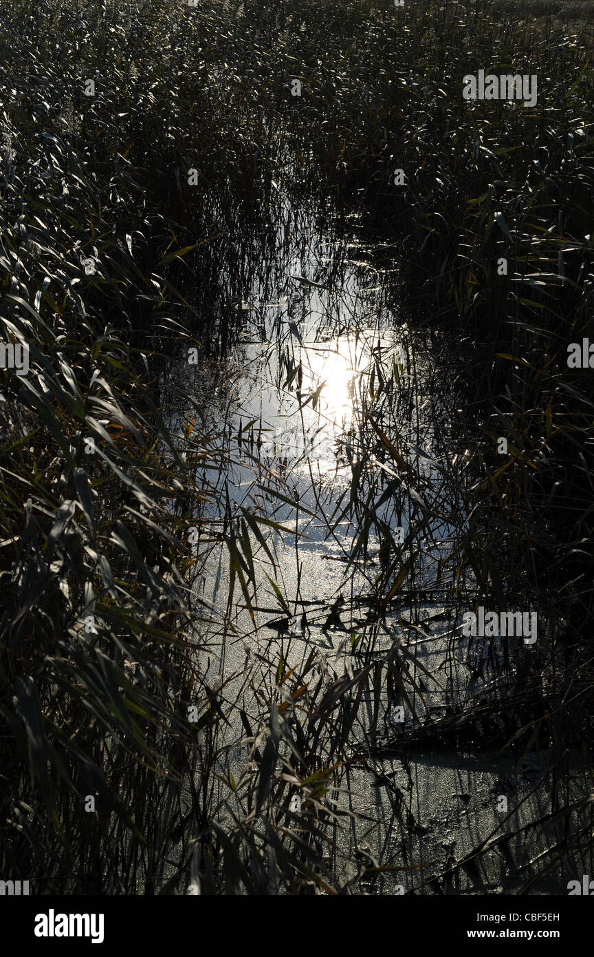 Shadows and reflections hi-res stock photography and images - Alamy