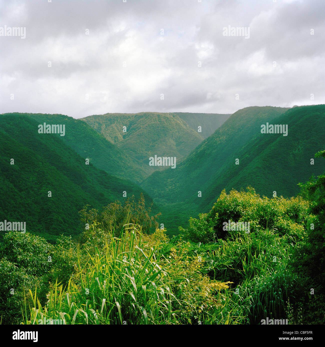 North kohala district hi-res stock photography and images - Alamy