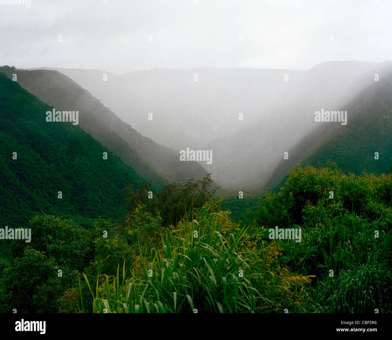 Mist in Pololu Valley North Kohala District Big Island Hawaii Stock ...
