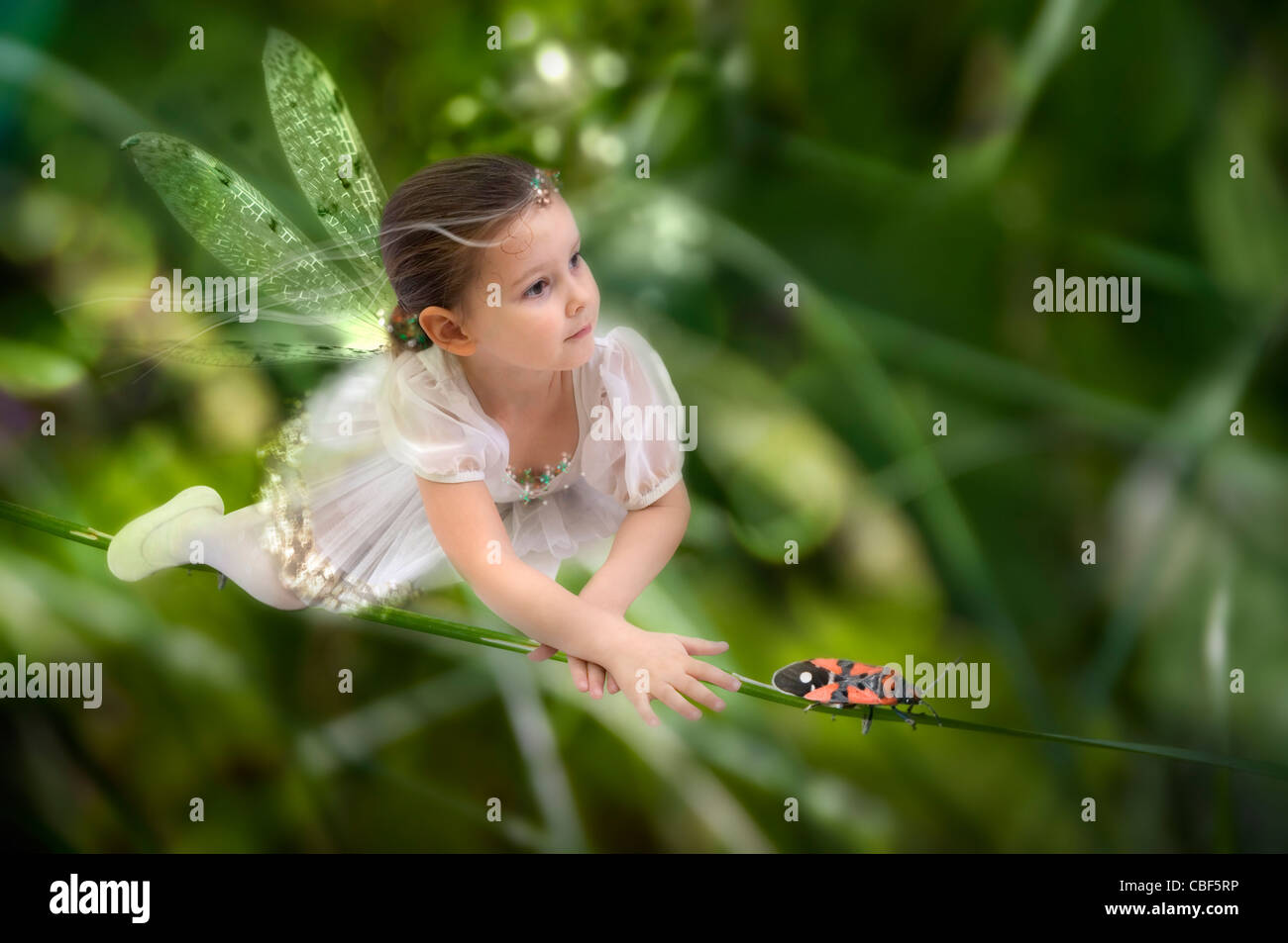 Cute fairy with flowers hi-res stock photography and images - Alamy