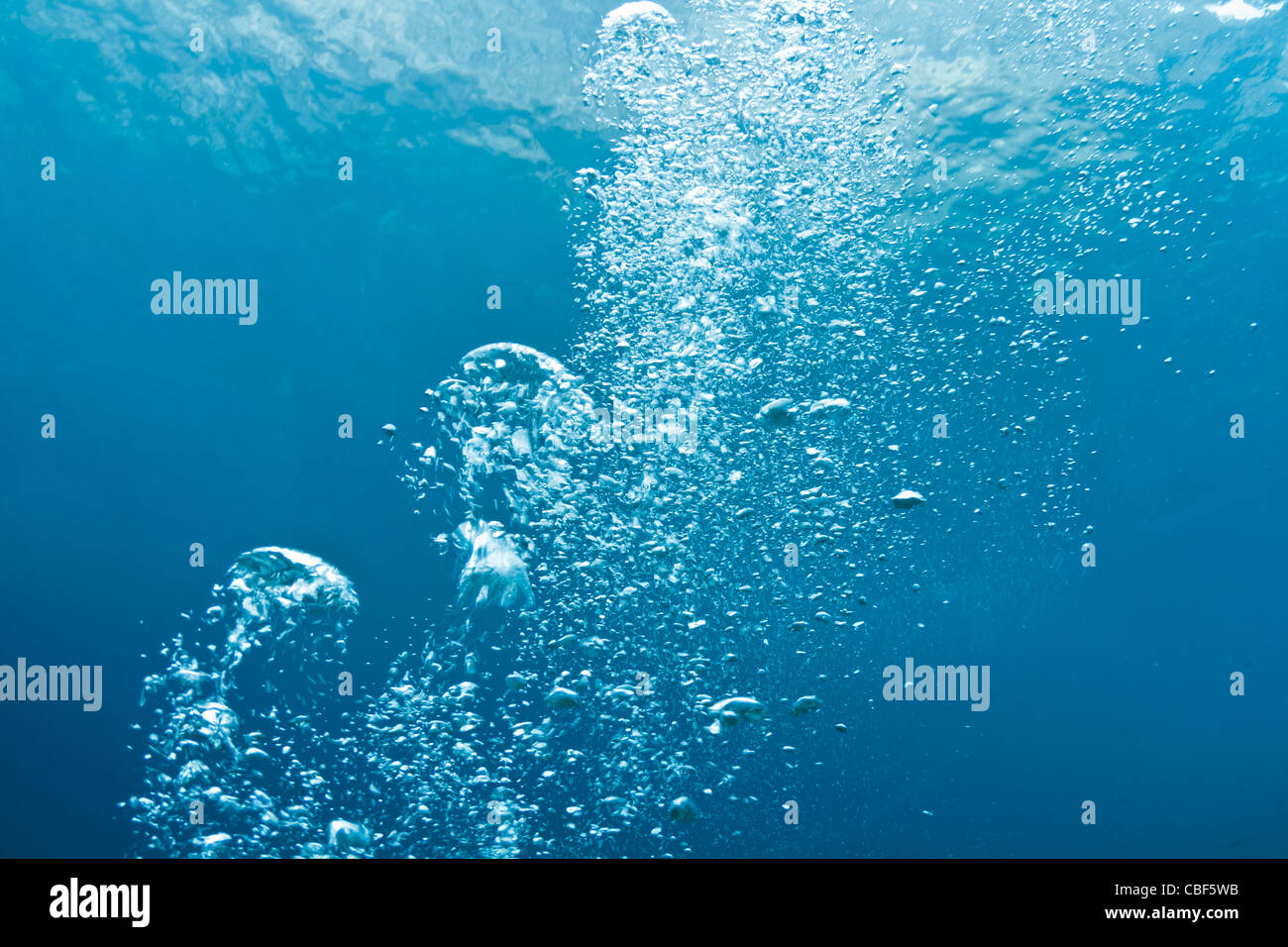 Bubbles from a Scuba diver rising to the surface in the blue sea Stock ...