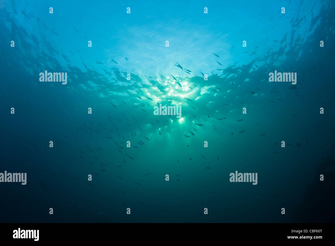 Underwater light rays hi-res stock photography and images - Alamy