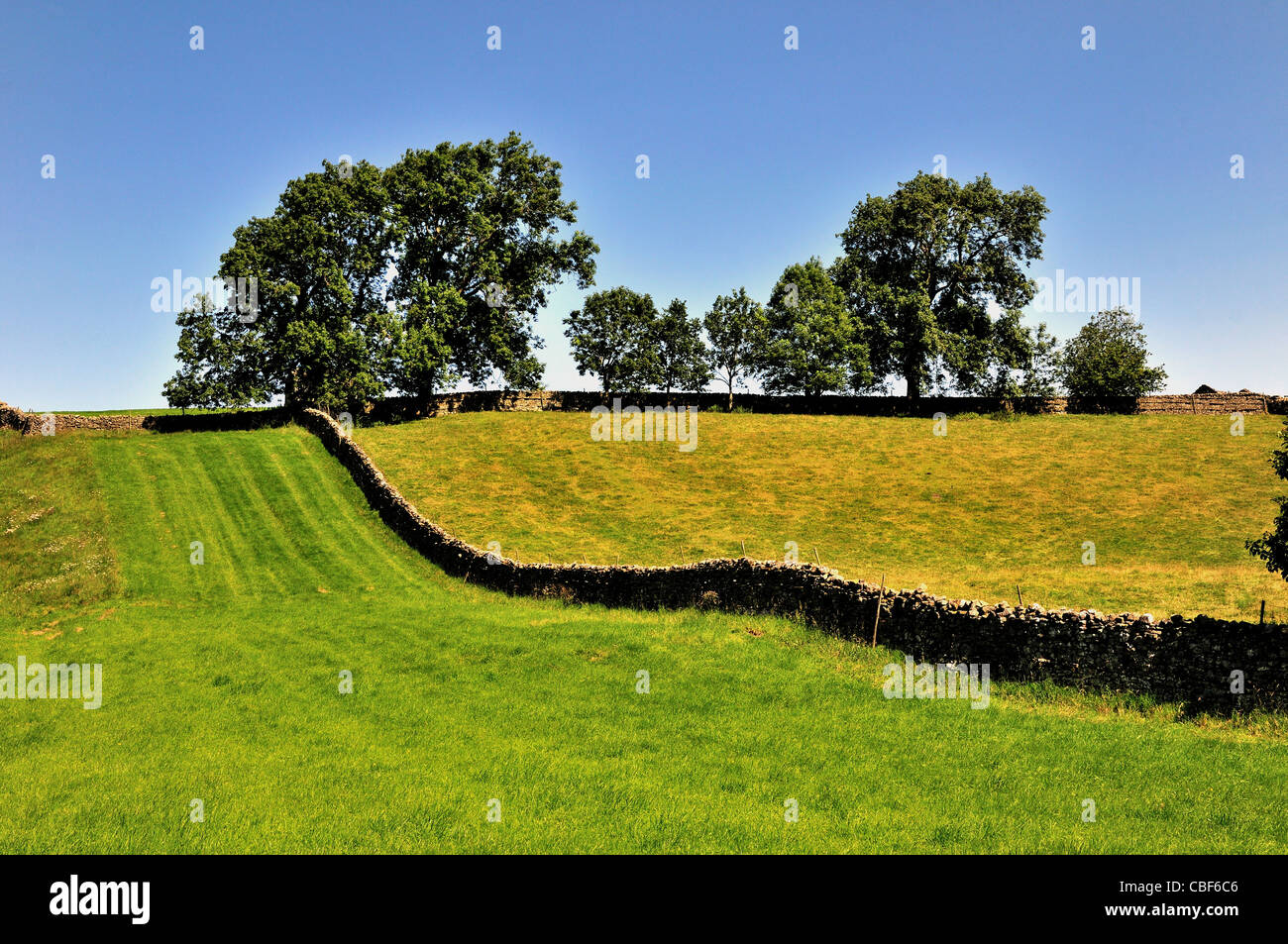 Trees skyline dales hi-res stock photography and images - Alamy