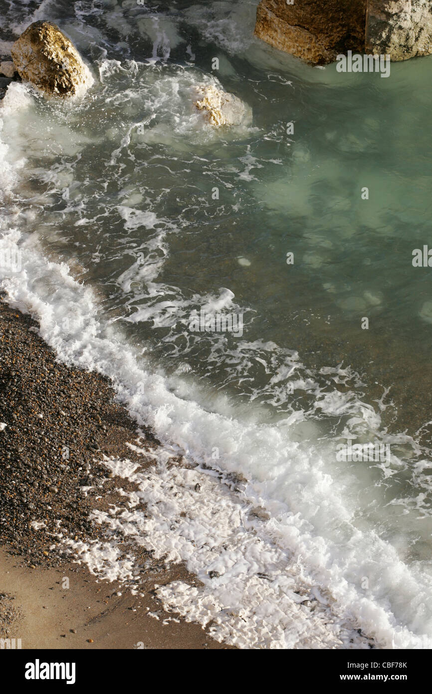 Close up sea covers hi-res stock photography and images - Alamy