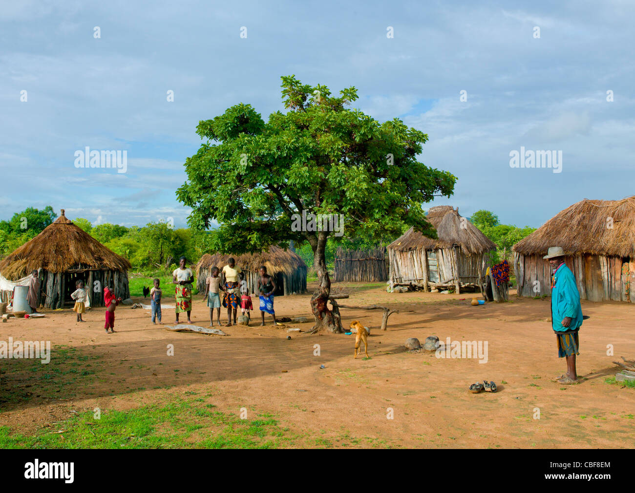 Chibia hi-res stock photography and images - Alamy