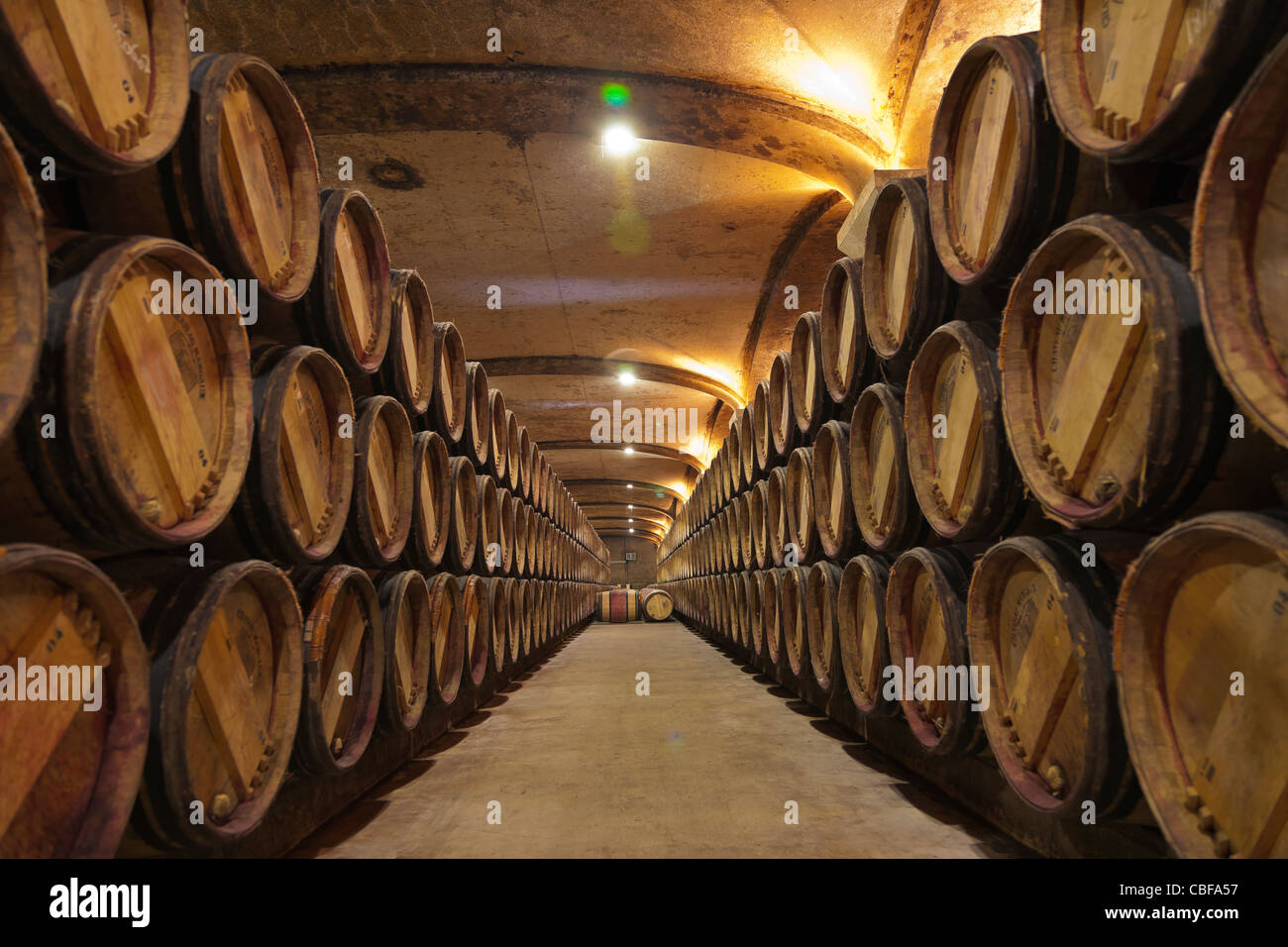Alignment of wine barrels in the cellars., The Château Margaux wine ...