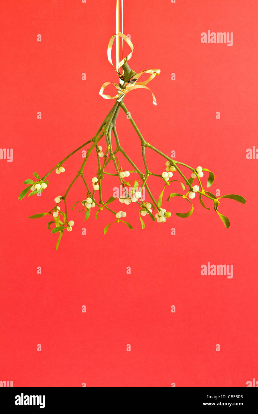 Golden Mistletoe High Resolution Stock Photography and Images - Alamy