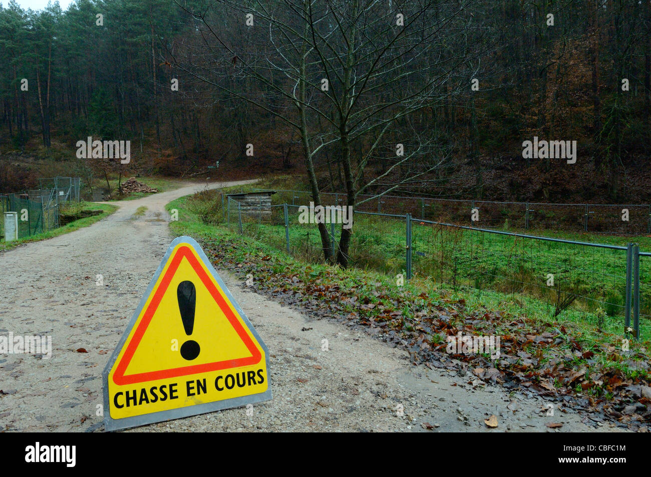 Warning sign of hunting game in forest, Baerenthal, Parc naturel des ...