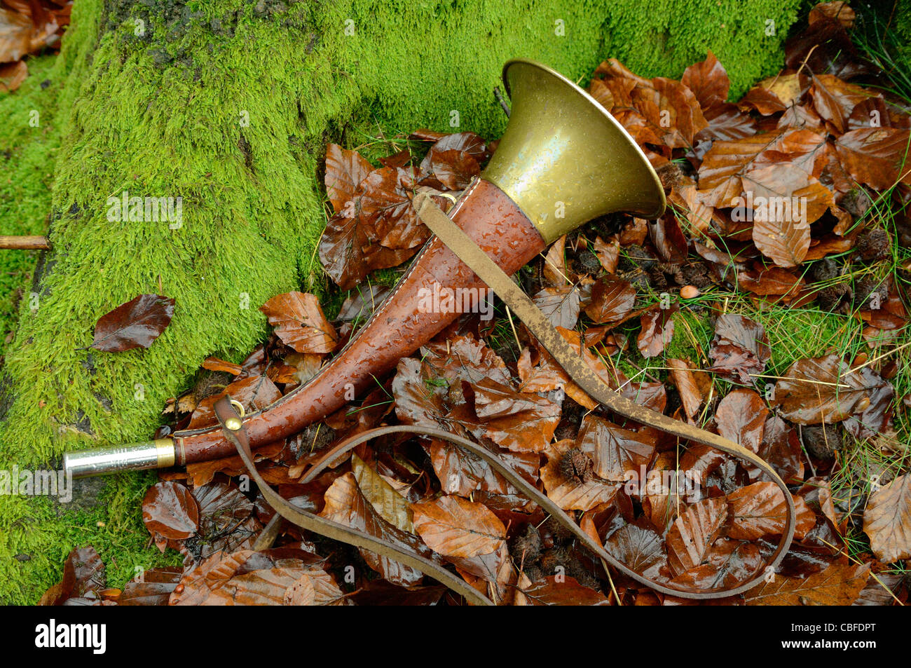 Hunting horn in forest leaves, France Stock Photo - Alamy