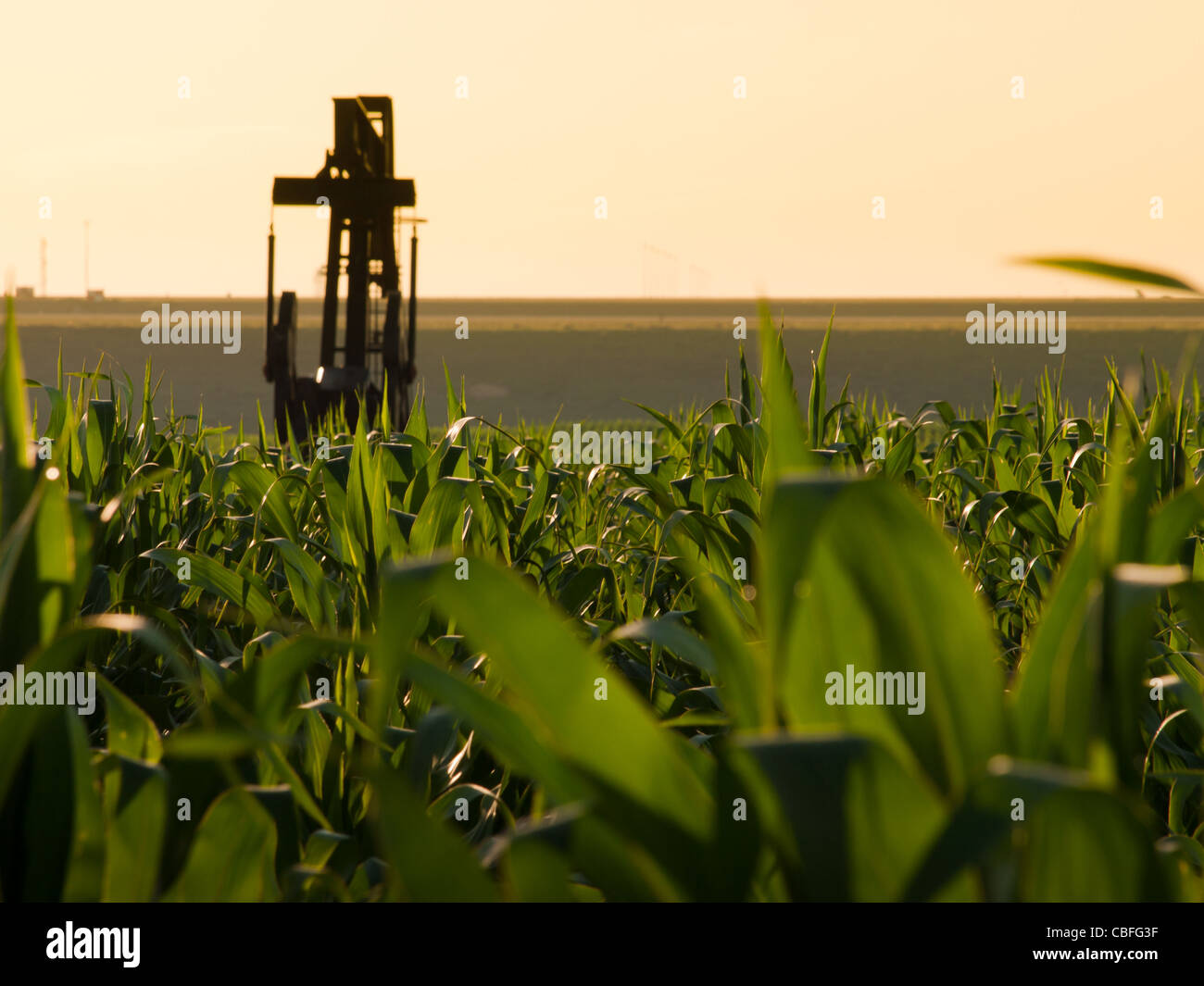 Middle west corn hi-res stock photography and images - Alamy