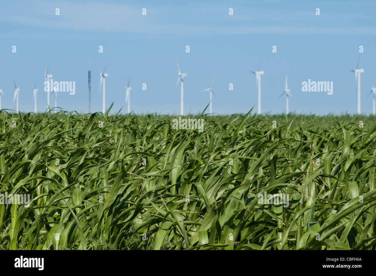 Wind turbines farm in Eastern Colorado Stock Photo - Alamy