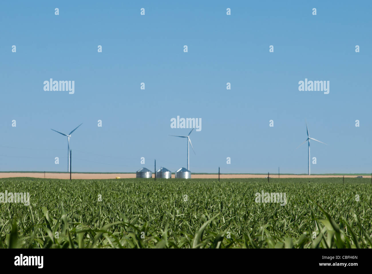 Wind turbines farm in Eastern Colorado Stock Photo - Alamy