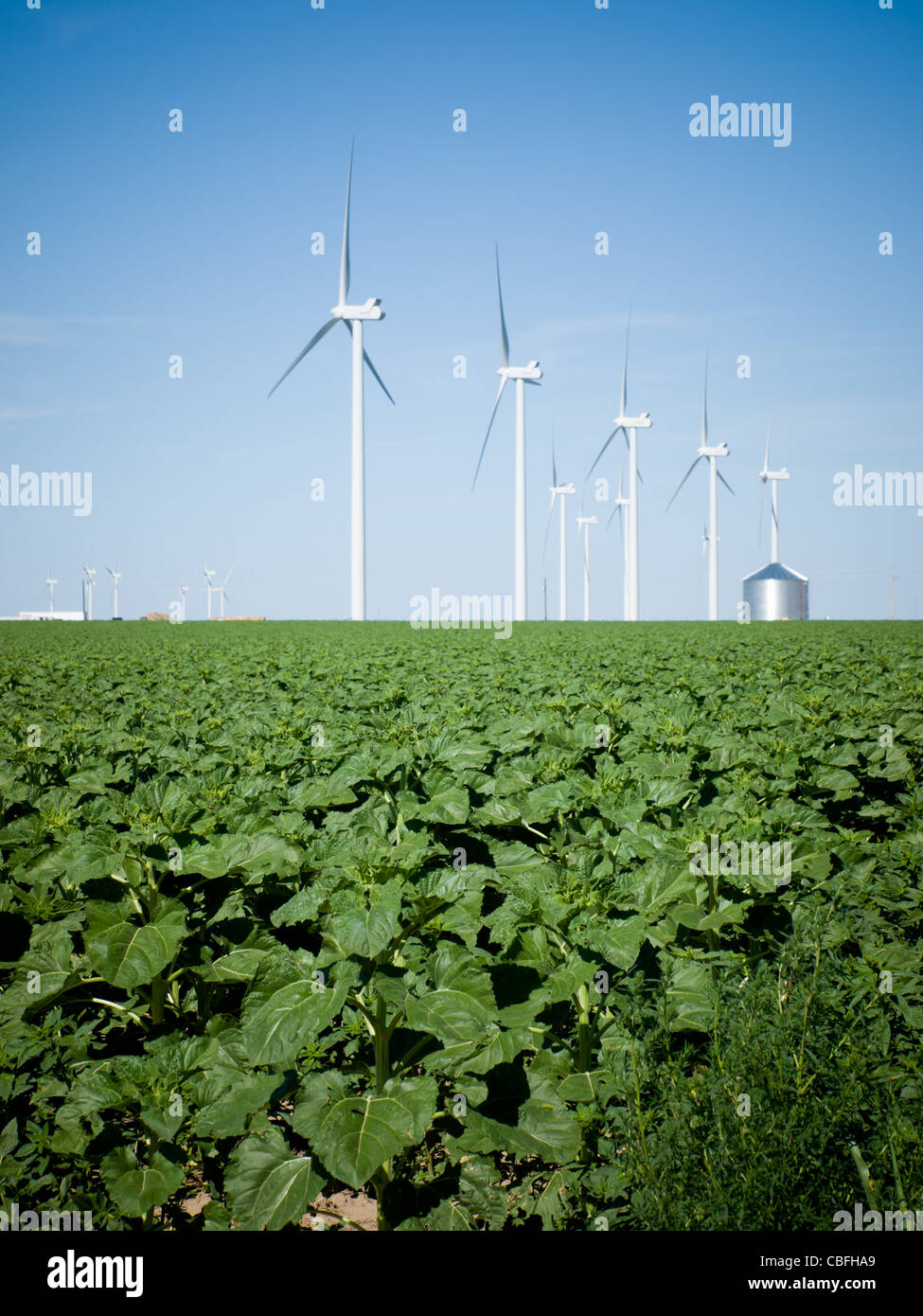 Wind turbines farm in Eastern Colorado Stock Photo - Alamy