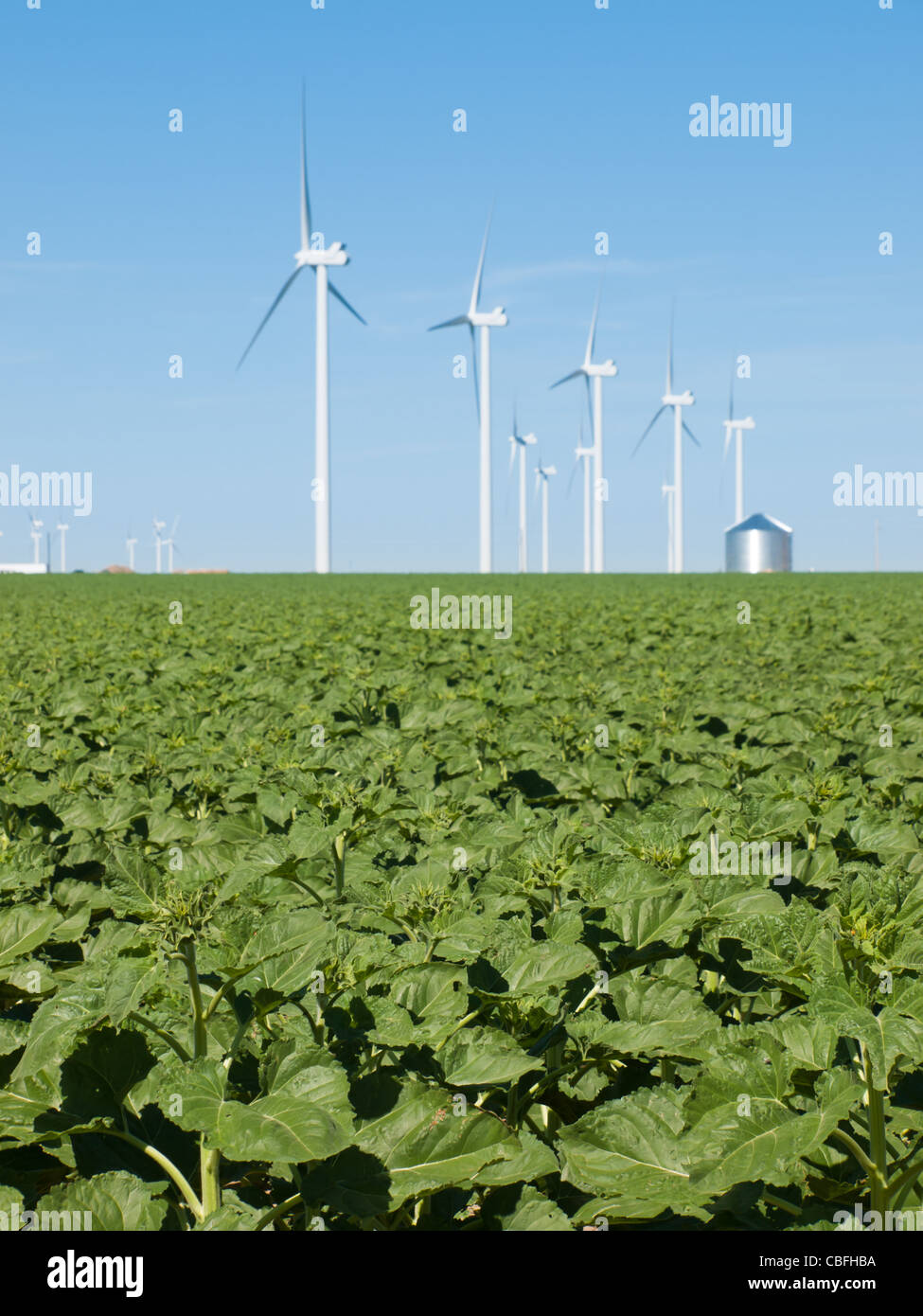 Wind turbines farm in Eastern Colorado Stock Photo - Alamy