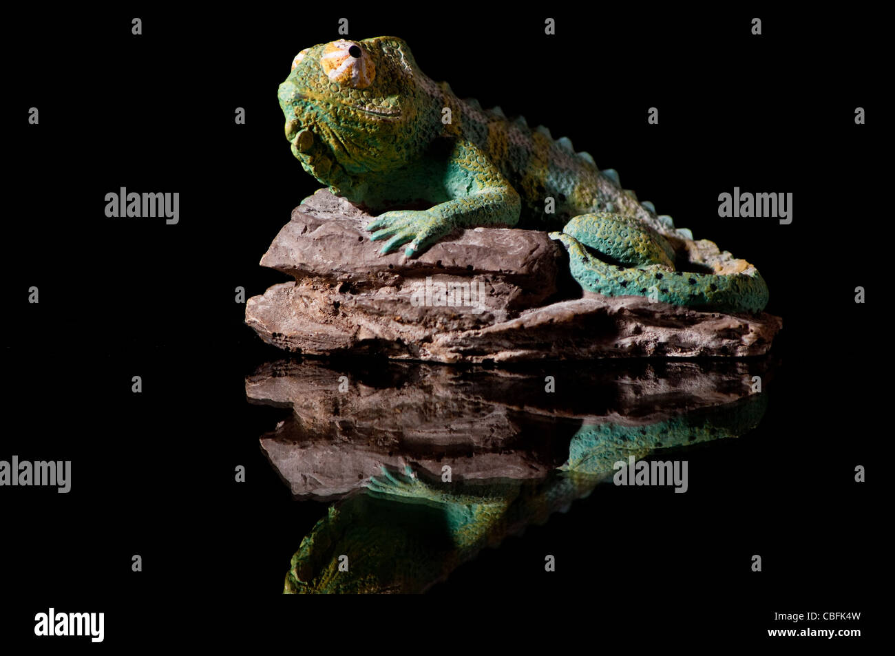 Lizard resting on rock hi-res stock photography and images - Alamy