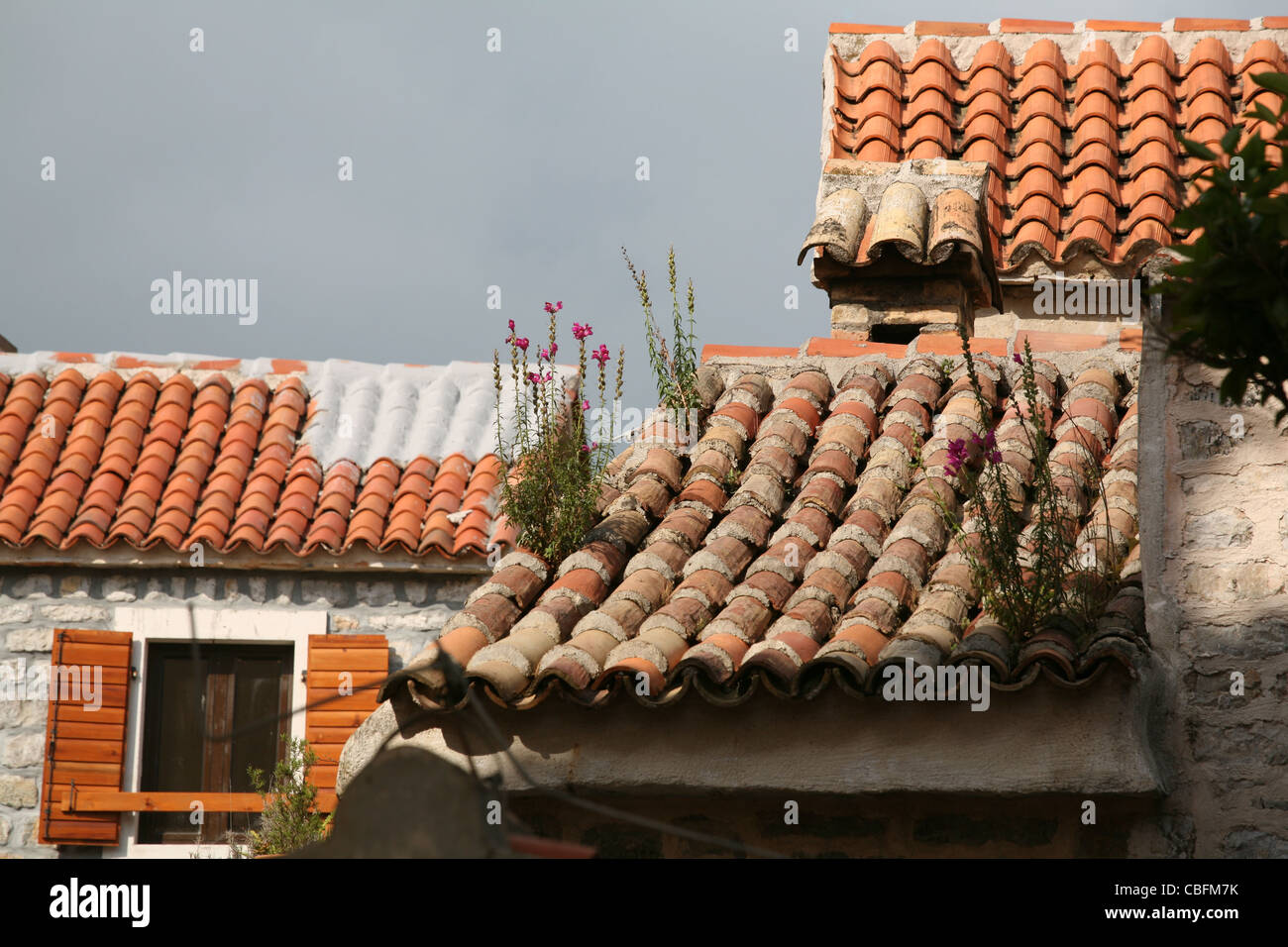 Montenegro, Budva. tile roofs Stock Photo - Alamy