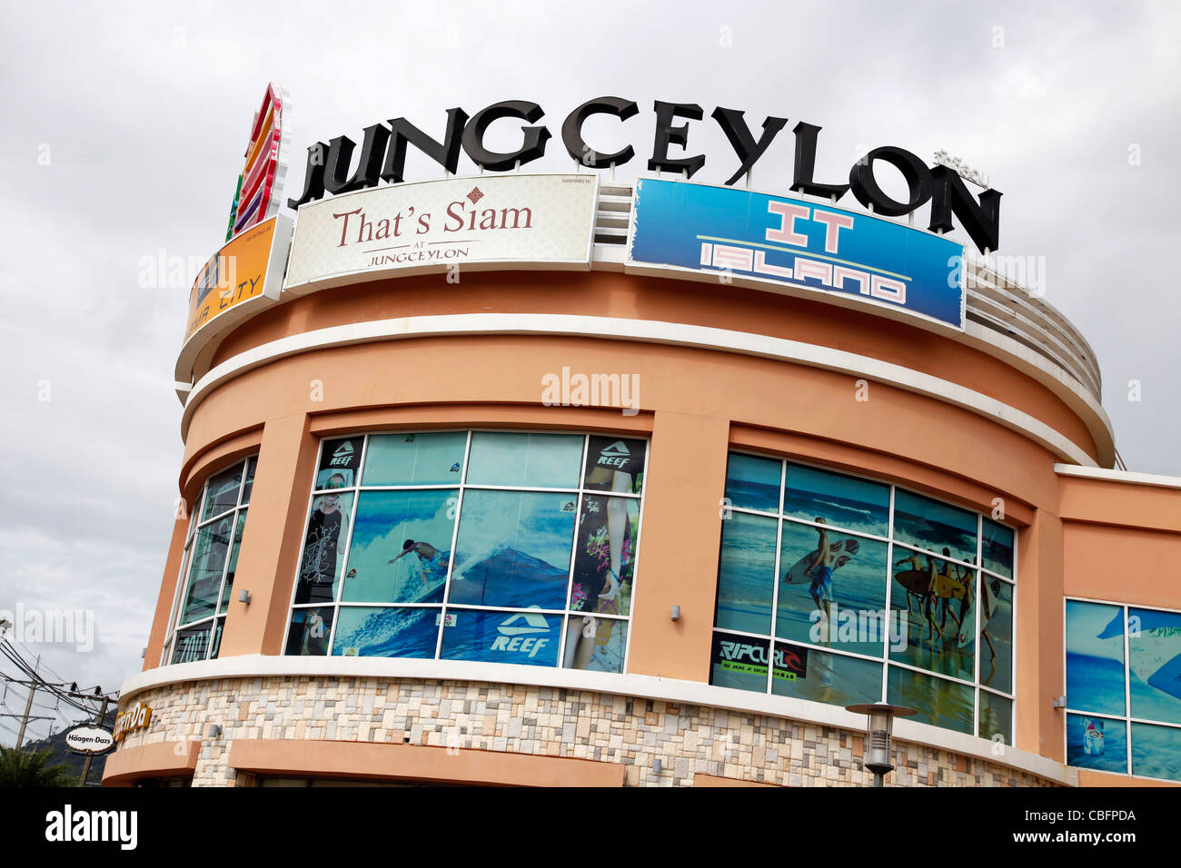 Jungceylon Logo