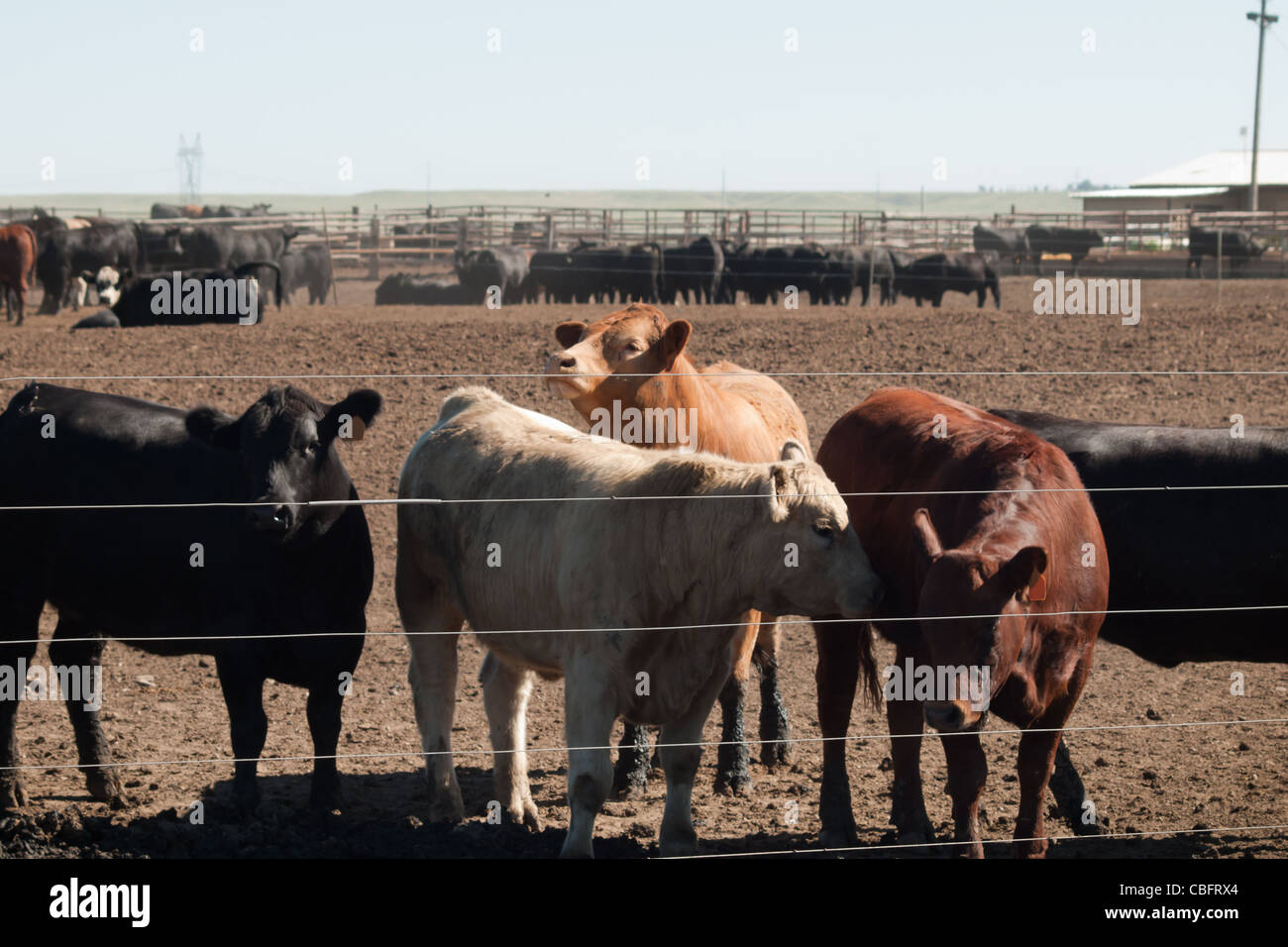 Northern colorado farm hi-res stock photography and images - Alamy