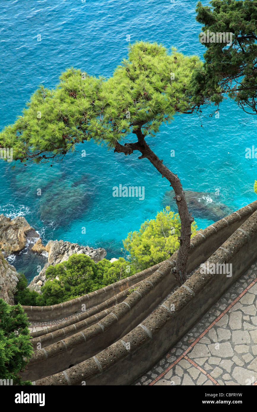 Italy, Campania, Capri, Via Krupp, scenery Stock Photo - Alamy