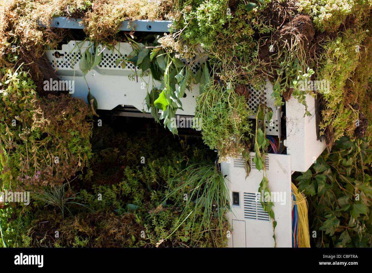 Abandoned office overgrown plants hi-res stock photography and images ...