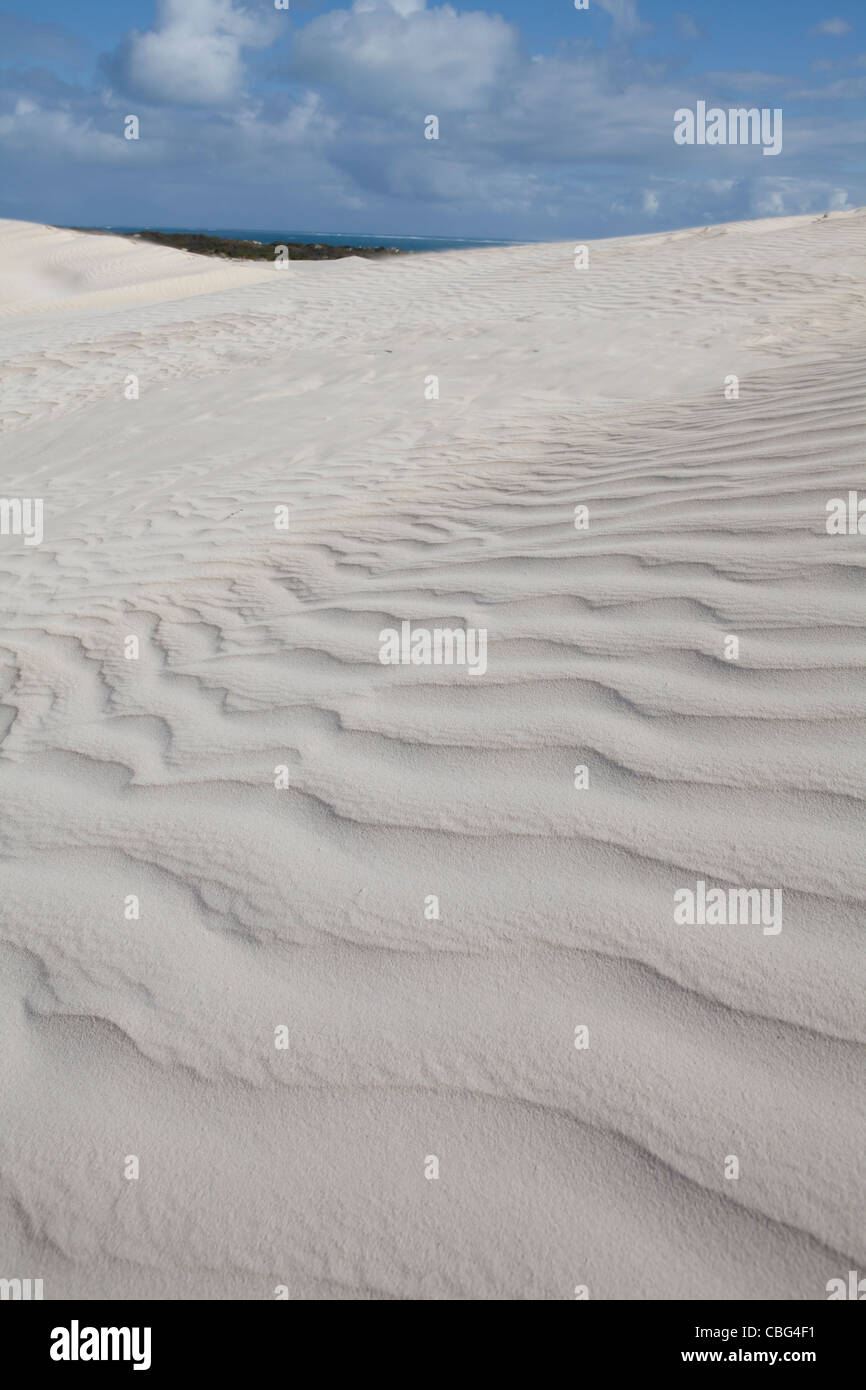The pure white sand dunes of the Nilgen nature reserve, Lancelin ...