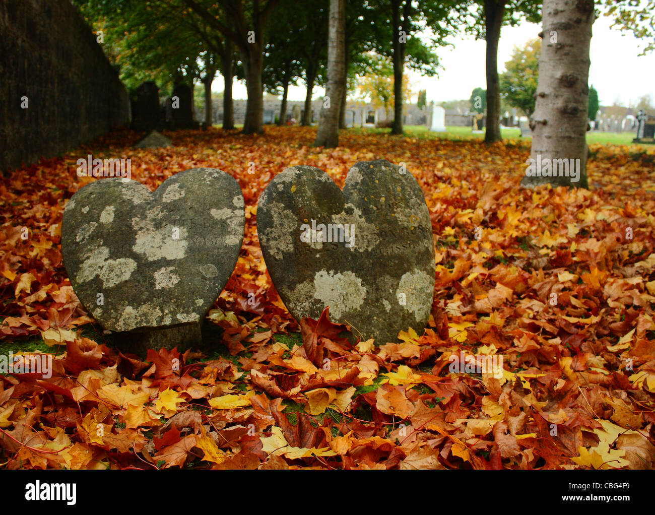 Two love heart gravestones stand alone amongst a sea of brightly ...