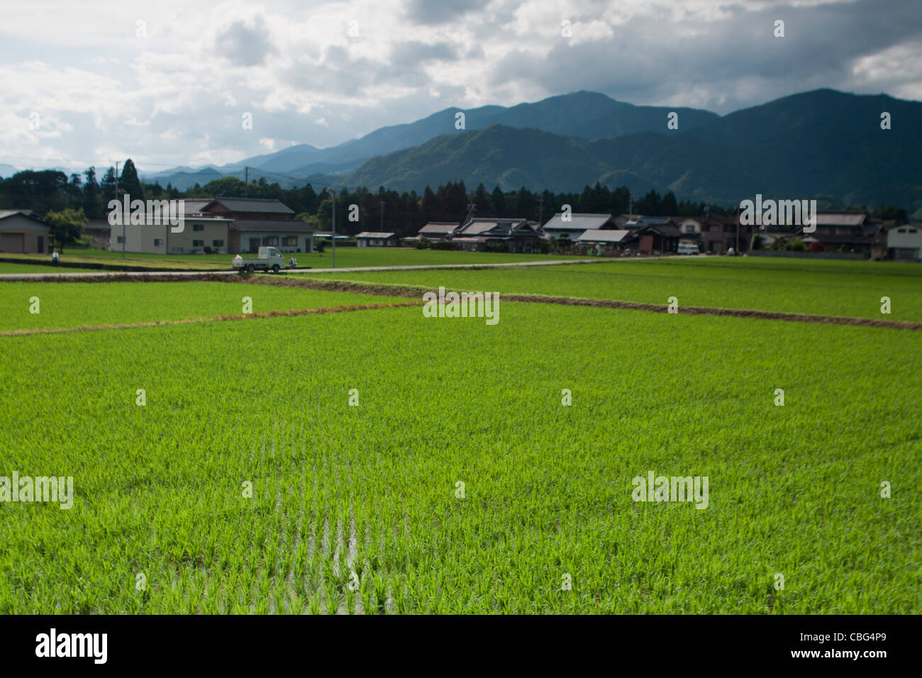 Japanese rice paddies hi-res stock photography and images - Alamy