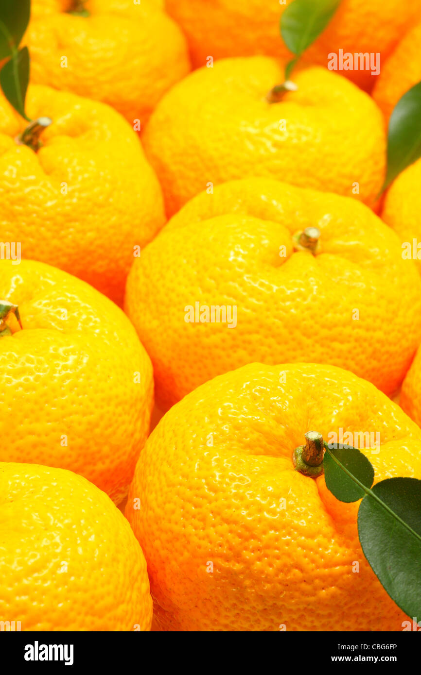 Citron texture and background close up shoot Stock Photo - Alamy