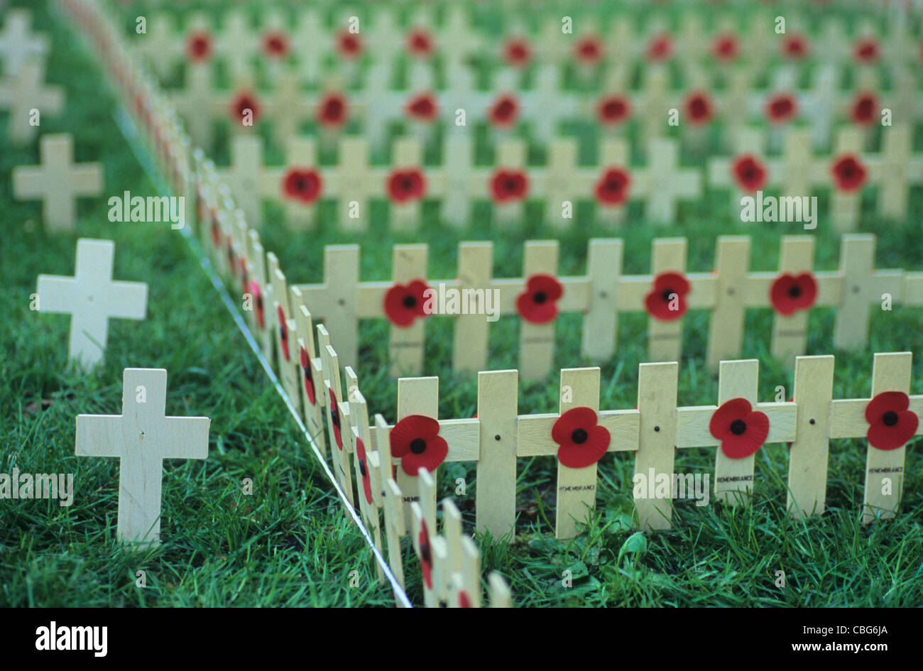 Poppies and crosses in the Field of Remembrance, Westminster Abbey ...