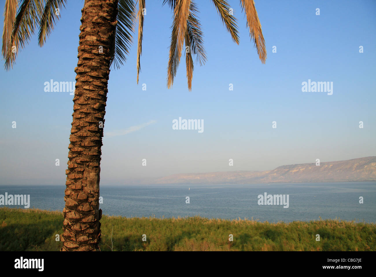 Israel, A view of the Sea of Galilee fromTel Beth Yerah Stock Photo - Alamy
