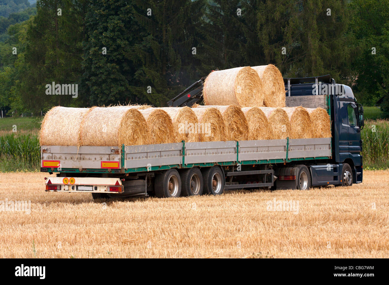 Truck loaded with the bales of hay Stock Photo - Alamy