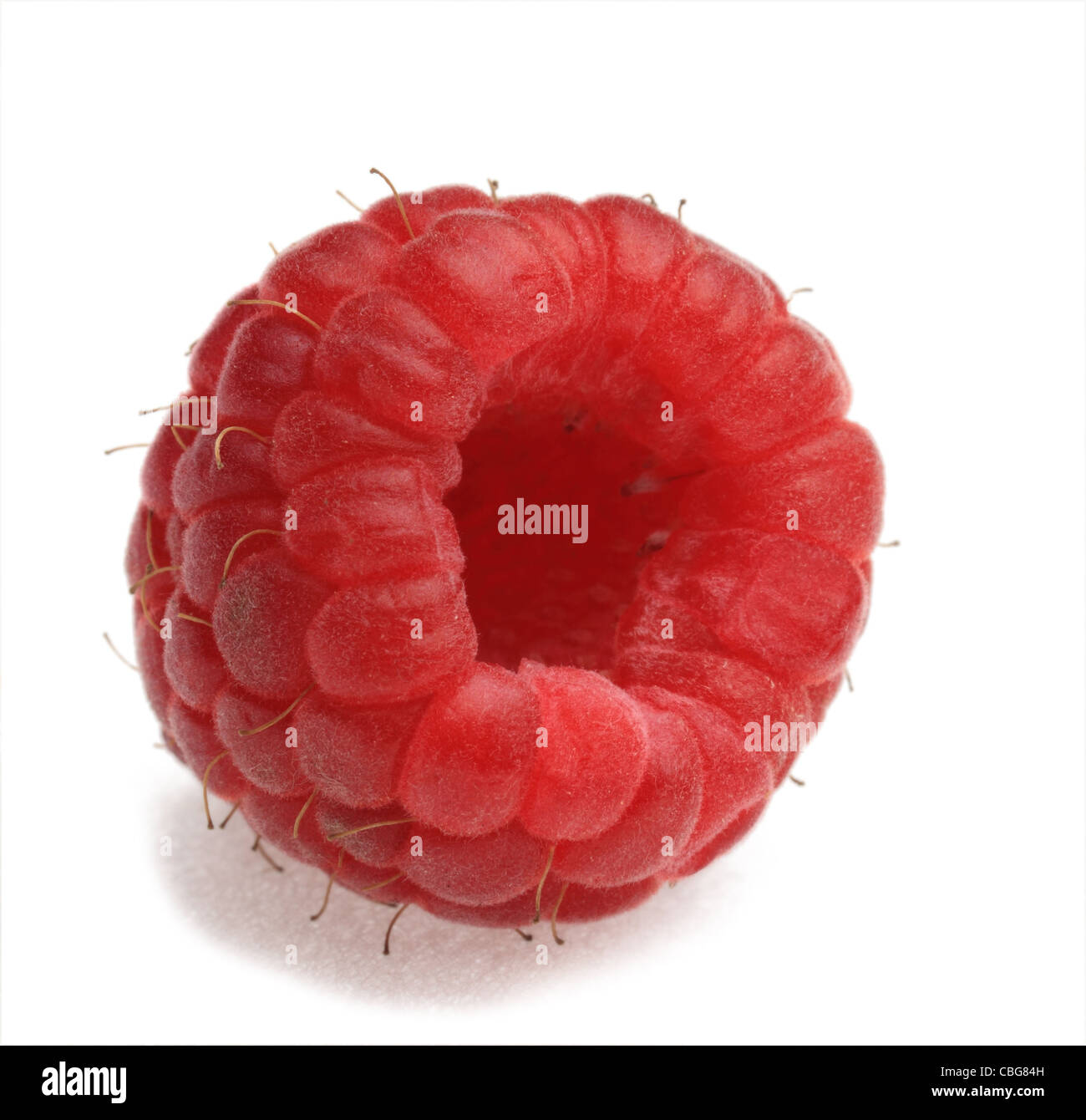Macro shot of a raspberry photographed in a studio against a white ...