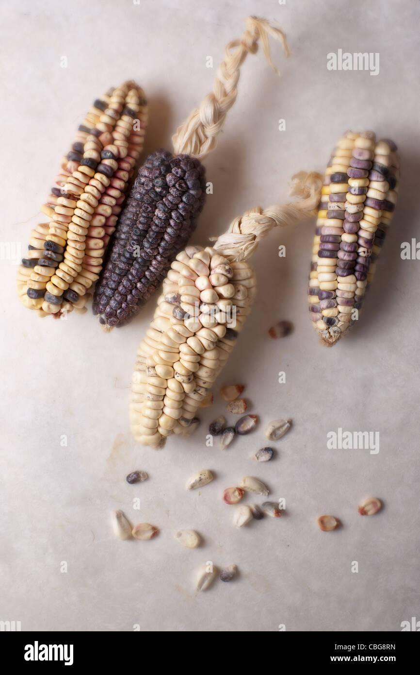 Dried white corn hi-res stock photography and images - Alamy