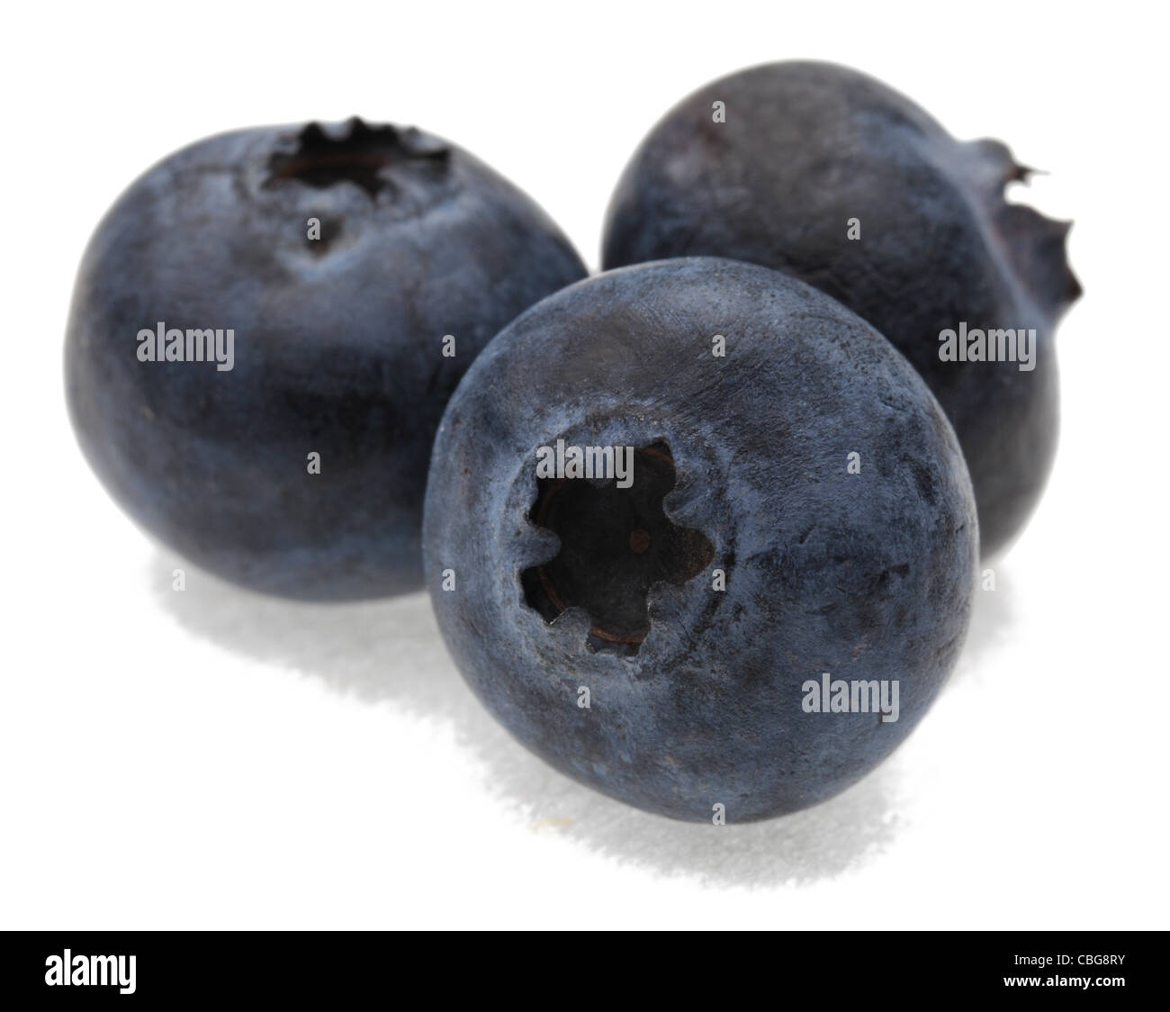 A group of three blueberries photographed in a studio against a white ...