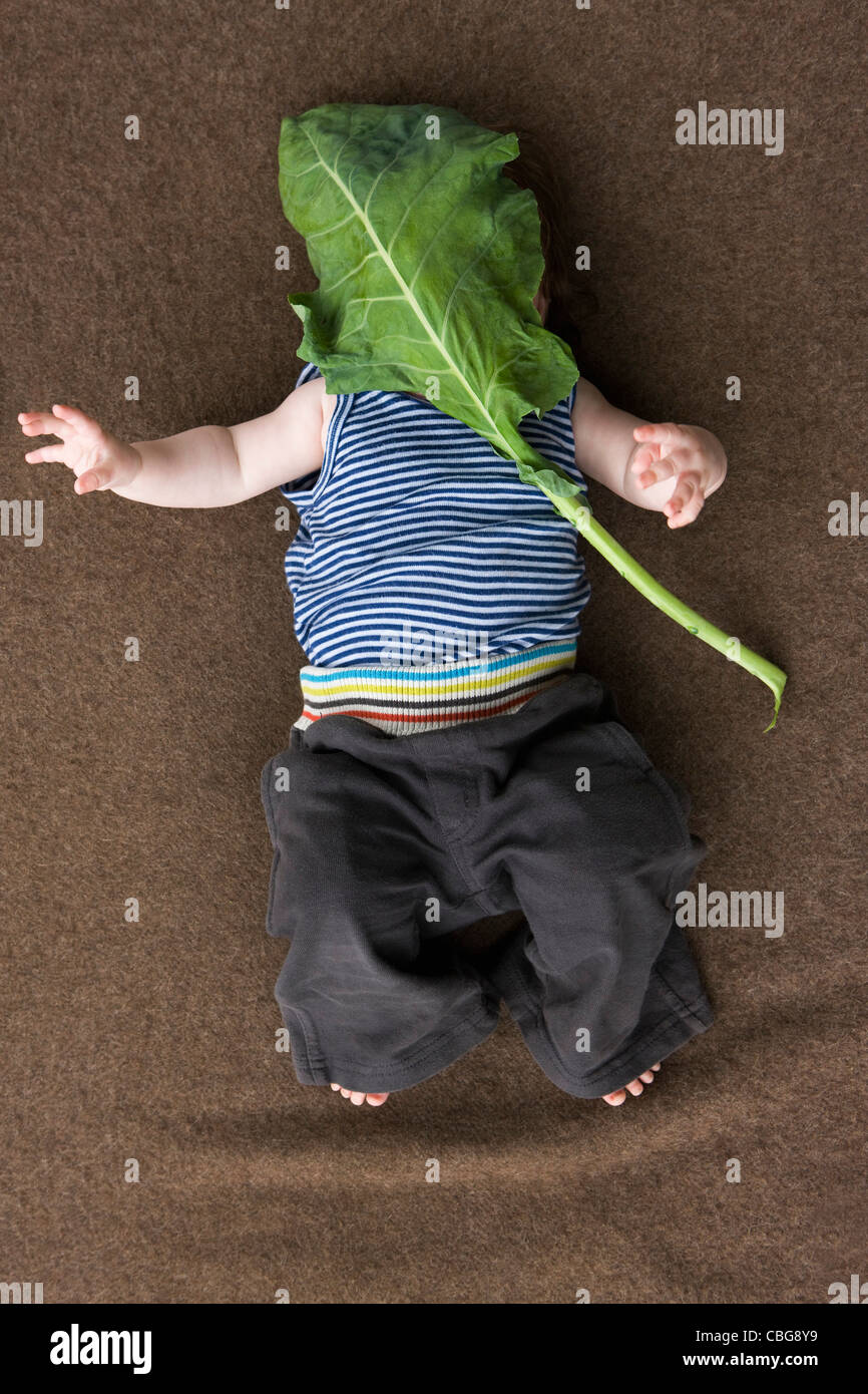A baby girl lying on the floor with a large leaf covering her face ...