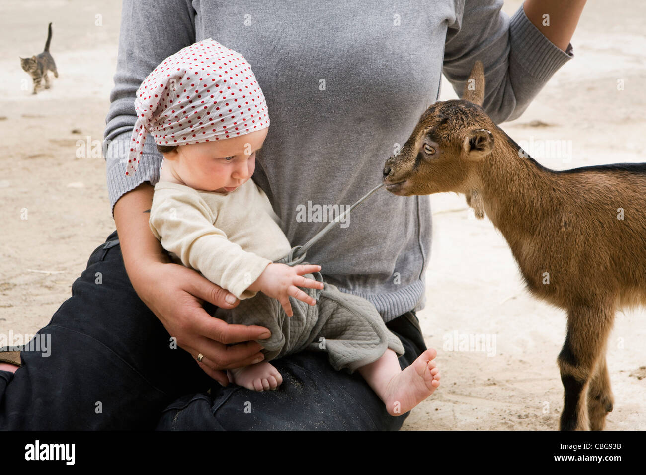 A goat pulling on the drawstring of a baby's pants Stock Photo - Alamy