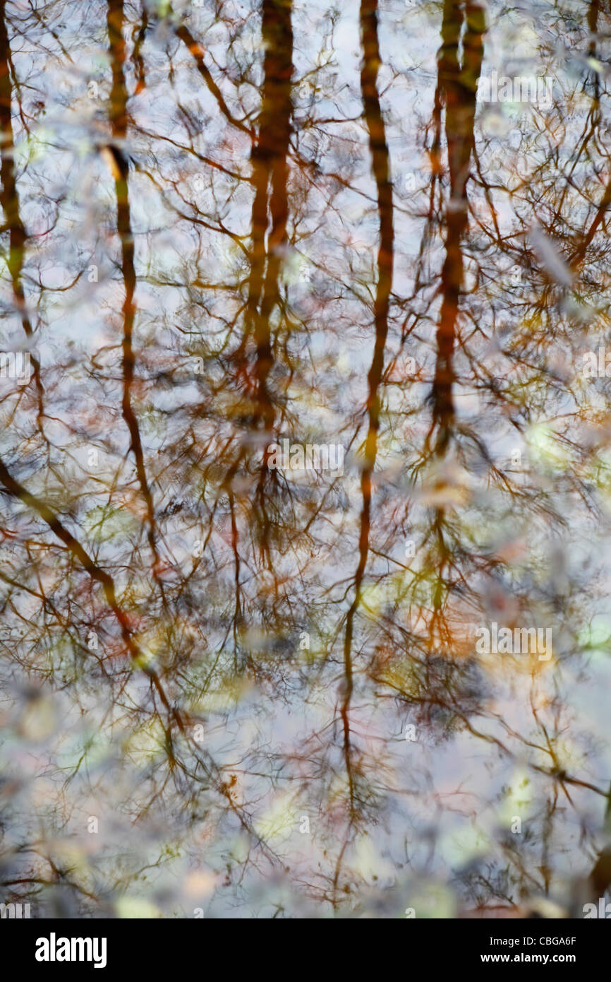 Pool water hi-res stock photography and images - Alamy
